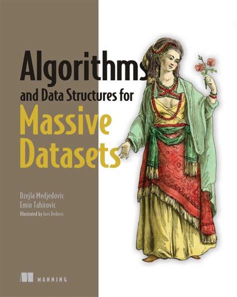 Algorithms And Data Structures For Massive Datasets Von Dzejla