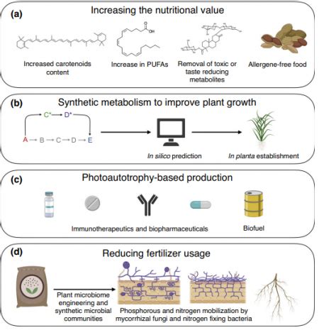 Plant Science Research Weekly January 17 Plantae