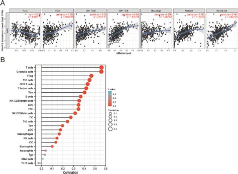 A Associations Between Agap2 Expression Level And Immune Infiltration