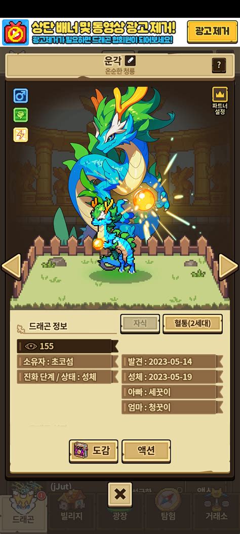 드래곤빌리지 컬렉션