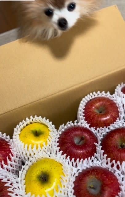 あったからよ 紅と福の週便り