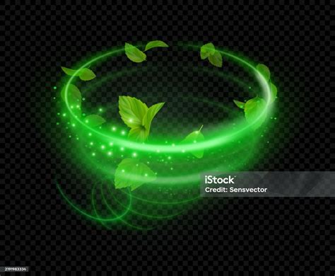 민트 잎이 있는 반짝이는 라인 나선형 봄 날아다니는 마법의 먼지 입자와 멘타 잎이 있는 사실적인 바람 효과 벡터 빛나는 소용돌이 와류 와류 움직이는 빛과 추상적인 반짝임