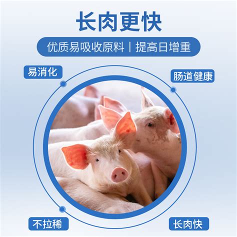 【普吉中大猪12】普爱12生长肥育猪前期浓缩饲料 中猪料 40斤包 育肥促生长催长 适用25 60kg体重 浓缩料 普爱旗舰店 金猪商城