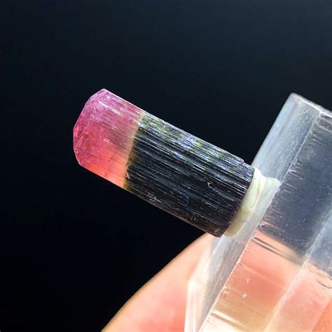 Bicolor Tourmaline Etsy