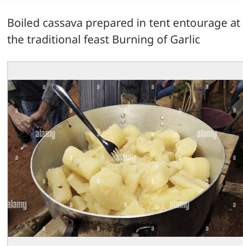 Prostrate Cancer Reversed After Using Cassava Read Article Ebije Media