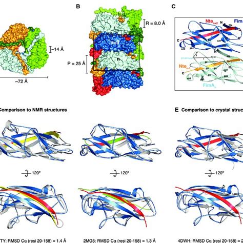 PDF The Cryoelectron Microscopy Structure Of The Type 1 Chaperone