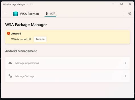 Bug Window Shadows And Window Preview Bugs Issue