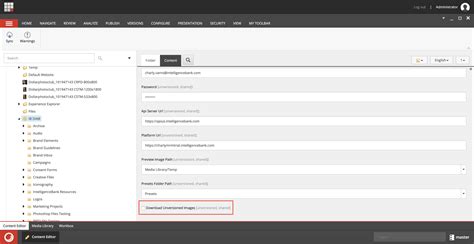 Versioned Or Unversioned Images Intelligencebank Helpdesk