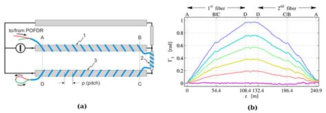 Polarimetric Distributed Measurement Of Electric Current A Sketch Of