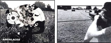 Field Target