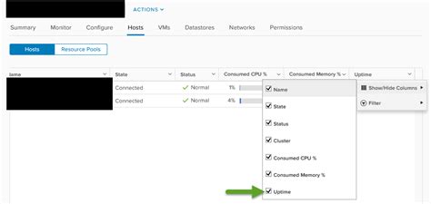 How To Check Up Time Of Esxi Host Or Virtual Machine From Vcenter Server