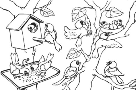 Табла за оцветяване Животни ИК Мая Христова