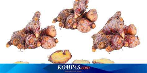 Manfaat Kesehatan Jahe Yang Sayang Dilewatkan