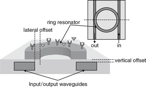 9 Microring Resonator Is Vertically Coupled To Inputoutput