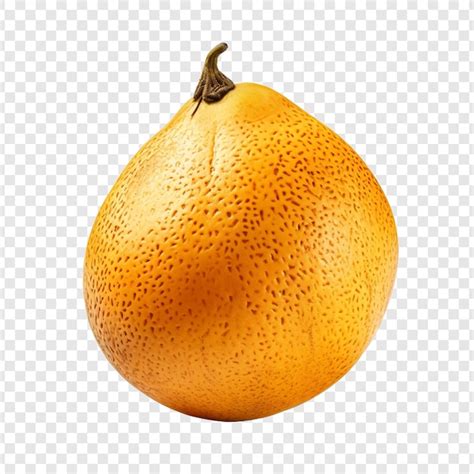 투명한 배경 위에 고립된 자포테 과일 프리미엄 Psd 파일