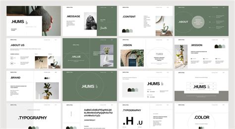 Brand Guidelines Adobe At Brianna Rocher Blog
