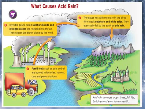 Acid Rain Formation Diagram