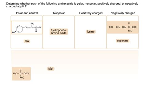 Determine Whether Each Of The Following Amino Acids Polar Nonpolar Positively Charged Or