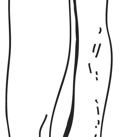 Carcass Sampling Areas Each Letter Indicates A Region Of 100 Cm 2