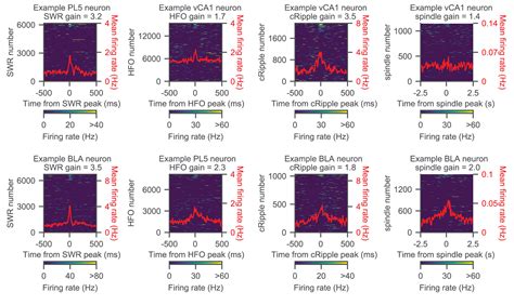 Firing Activities Of Rem And Nrem Preferring Neurons Are Differently Modulated By Fast Network