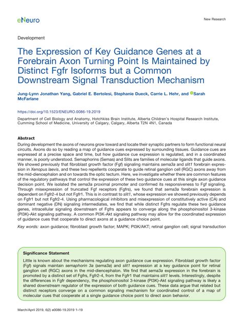 Pdf Expression Of Key Guidance Genes At A Forebrain Axon Turning