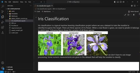 Syam Babu On Linkedin Machinelearning Datascience Internship Irisclassification Bharatintern