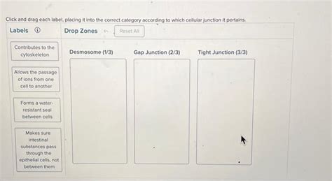 Solved Click And Drag Each Label Placing It Into The Chegg