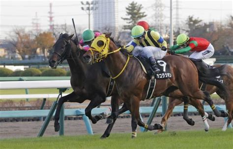 【中山金杯・松井の特注馬】ハーツクライ産駒の勢いに乗りボーンディスウェイで初笑い 競馬ニュース Netkeiba