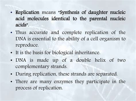 Enzymes Involved In Dna Replication Pptx