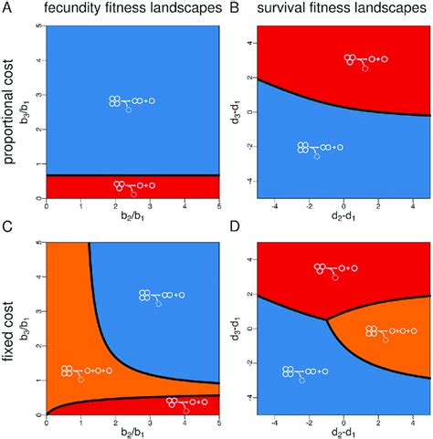 Optimal Fragmentation Modes For Fecundity And Survival Landscapes Download Scientific Diagram