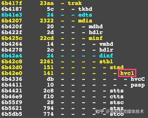 Ffmpeg Hevc Codectag兼容问题 知乎