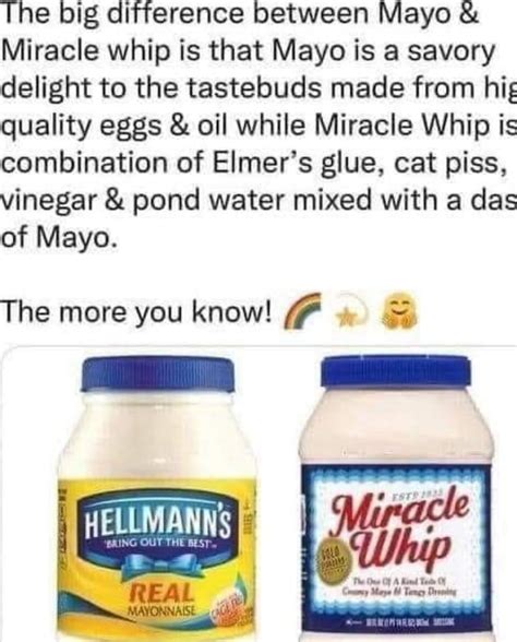 Is Mayonnaise An Instrument R Spongebob