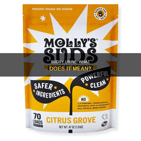 Sudsy Urine What Does It Mean Medshun