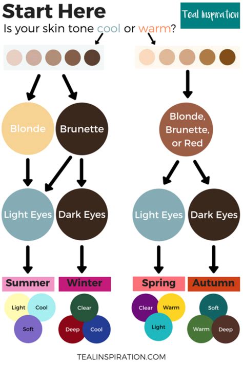 Seasonal Color Analysis Flow Chart At Nicolas Brinson Blog