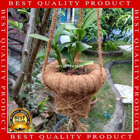 Jual Pot Gantung Sabut Kelapa Serabut Kelapa Anggrek Bunga Hias W