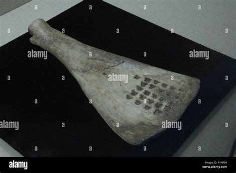 Yin Ruins Museum Hi Res Stock Photography And Images Alamy