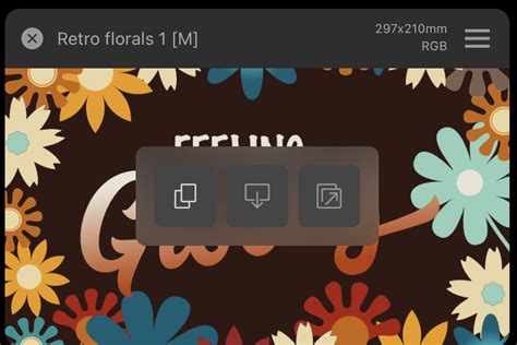 Affinity Designer V2 For Ipad Unable To Rename Document Ipad Questions Affinity Forum