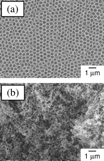 Figure From Preparation Of Composite Membrane With Three Dimensionally Ordered Polyimide