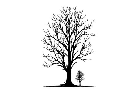 Premium Vector Tree Silhouette Vector Illustration