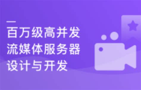百万级高并发webrtc流媒体服务器设计与开发完结无密97java