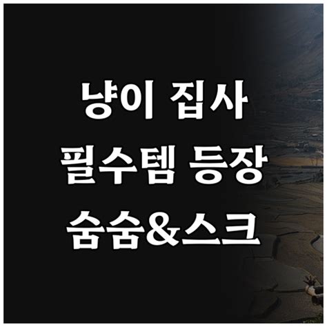 냥이 집사 필수템 스크래쳐 겸용 숨숨집 추천