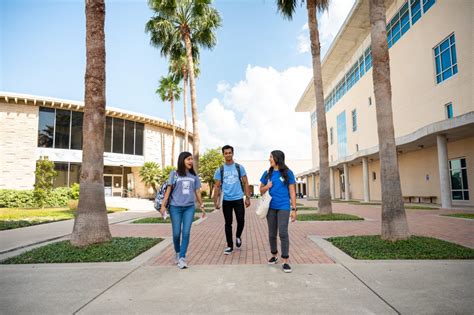 Earn Your Bachelors Degree Online Texas A M University Corpus Christi