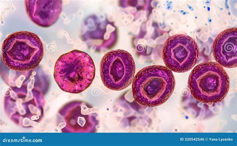 Close Up Of Pink Cells Under A Microscope Detailed Cell Structures