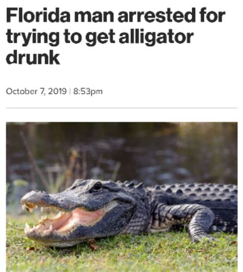 Florida Man Strikes Again Rdankmemes
