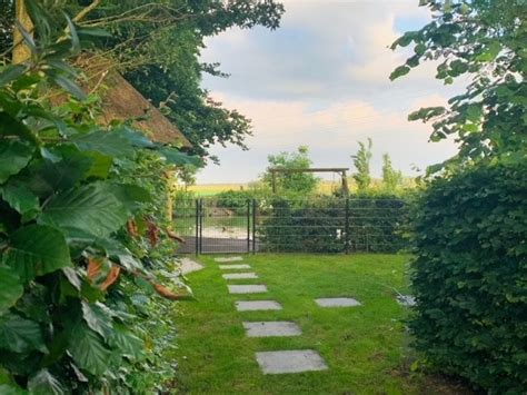 So Helfen Sie Ihrem Garten Bei Der Trockenheit