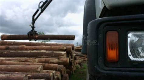 Modern Logger Working In Sawmill Powerful Tree Logger Lifting Logs Stock Video Video Of Heavy