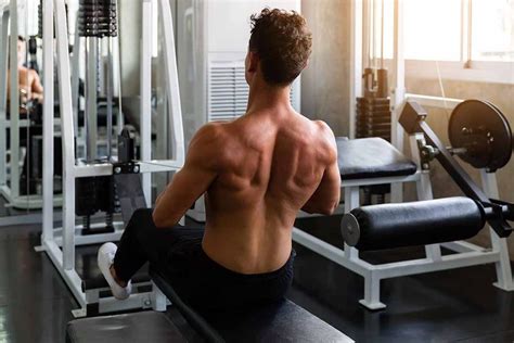 5 Best Seated Cable Row Alternatives Flex Ai