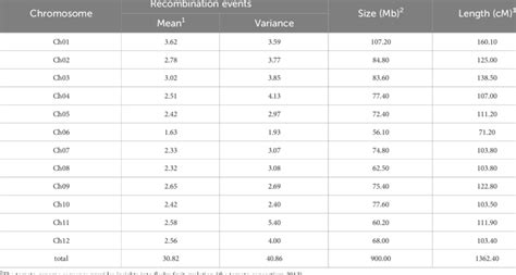 Recombination Events Frequencies And Chromosomes Length Estimates In Download Scientific