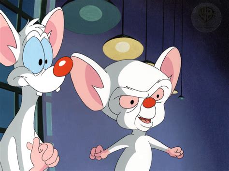 Pinky And The Brain Original Production Cel Pinky And Brain Cel