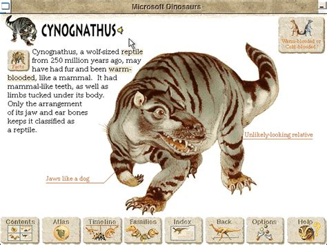 Download Microsoft Dinosaurs My Abandonware